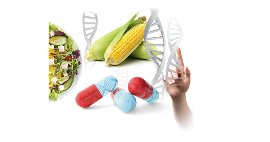 OGM : vingt ans de progrès, vingt ans de controverses - Afis Science ...